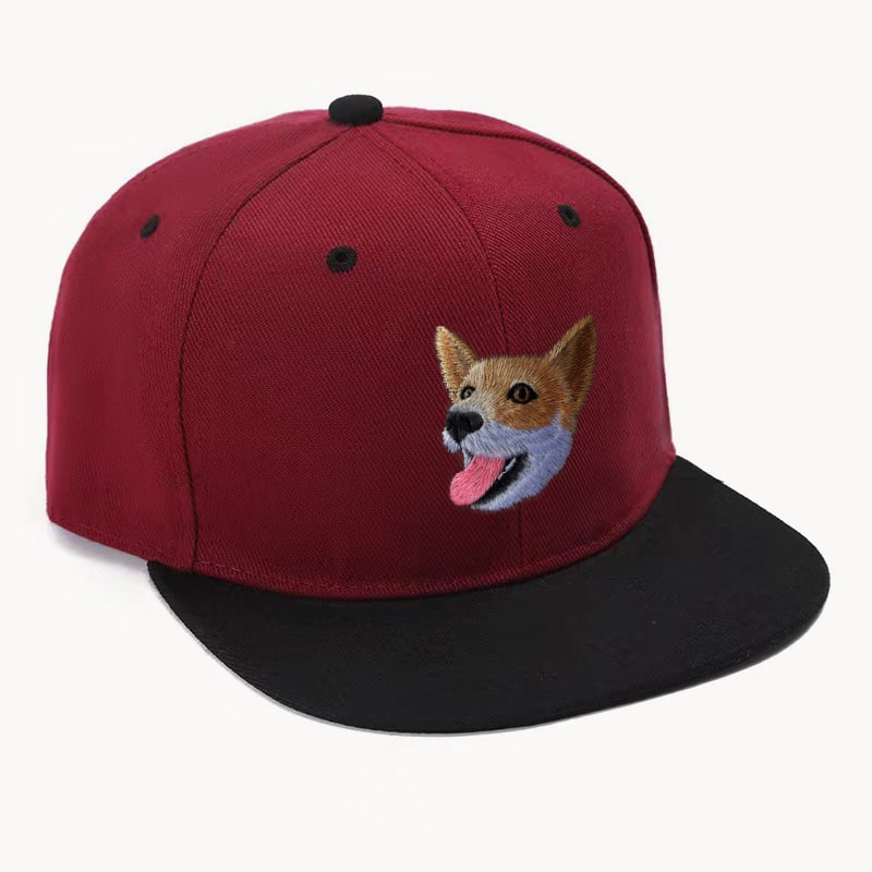 Custom embroider pet snapback hat - Rivys